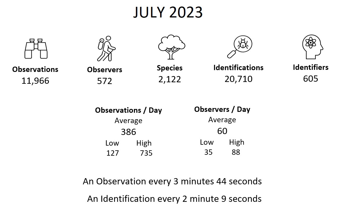 Month Summary (July 2023) | Epistemic Curiosity